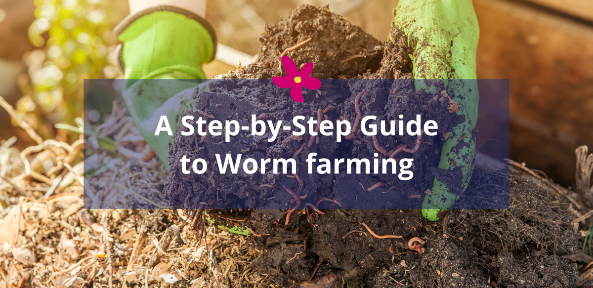 A Step-by-Step guide to Worm farming – Cape Garden Online
