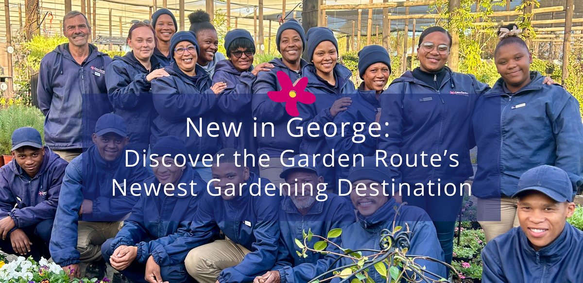 News – Tagged "Restaurant George"– Cape Garden Online