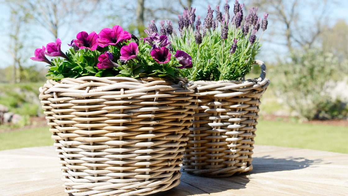 Rattan & Woven Planters – Cape Garden Online