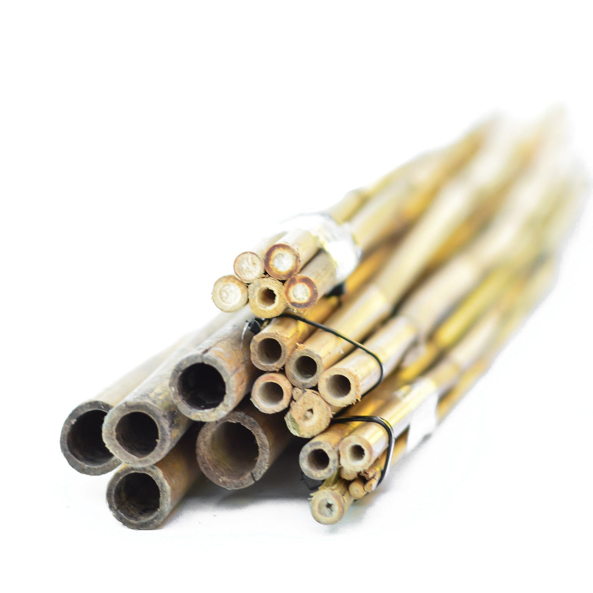 Bamboo Pack 20pc – Cape Garden Online