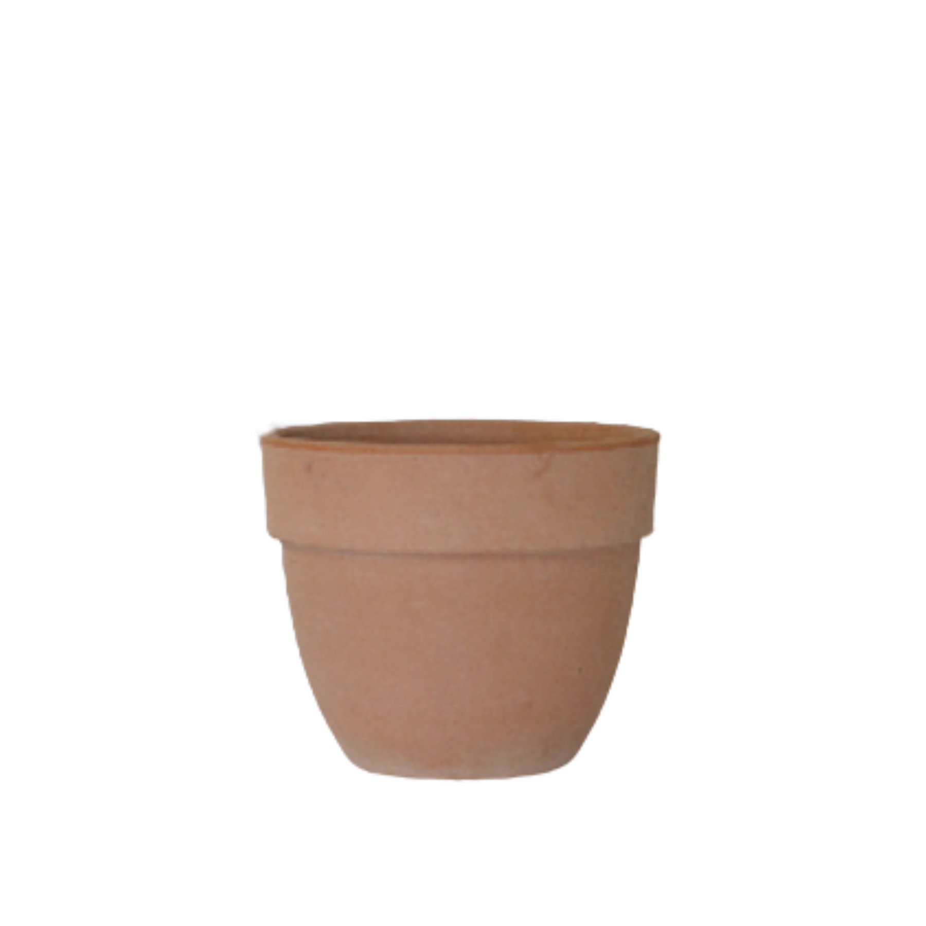 Shop terracotta or clay pots for plants in Cape Town – Cape Garden Online