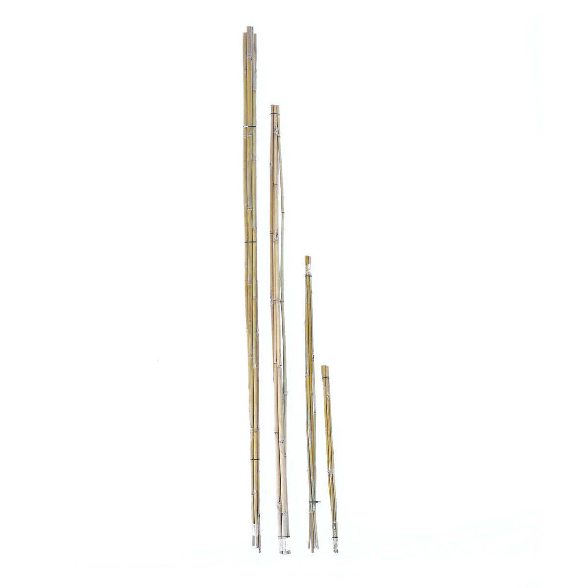 Bamboo Cane (5 Pack) – Cape Garden Online
