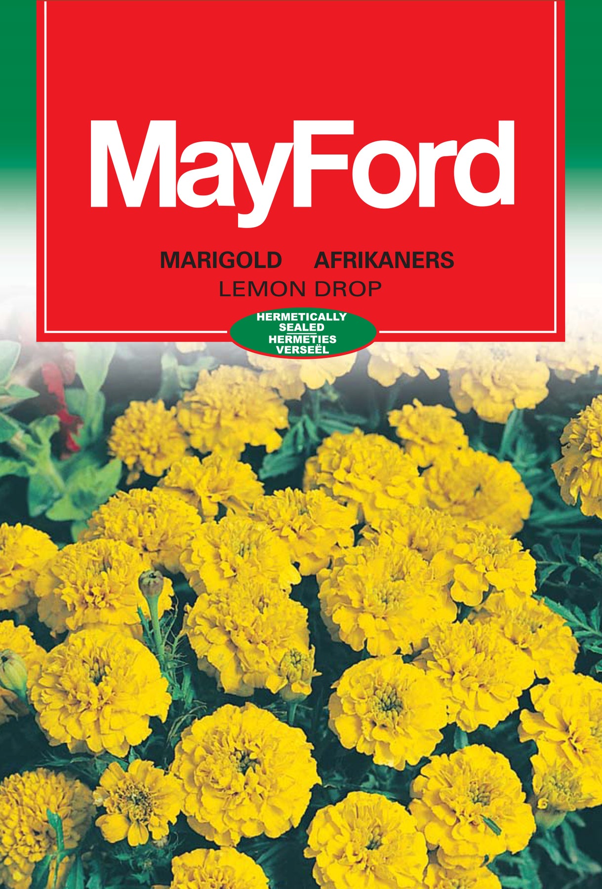 Flower Seeds - Annual & Perennial Varieties – Cape Garden Online
