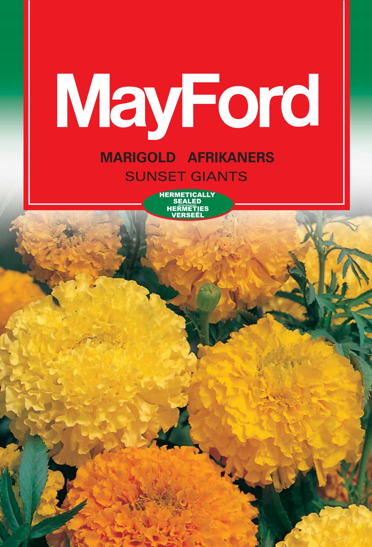 Shop flower seeds – Cape Garden Online