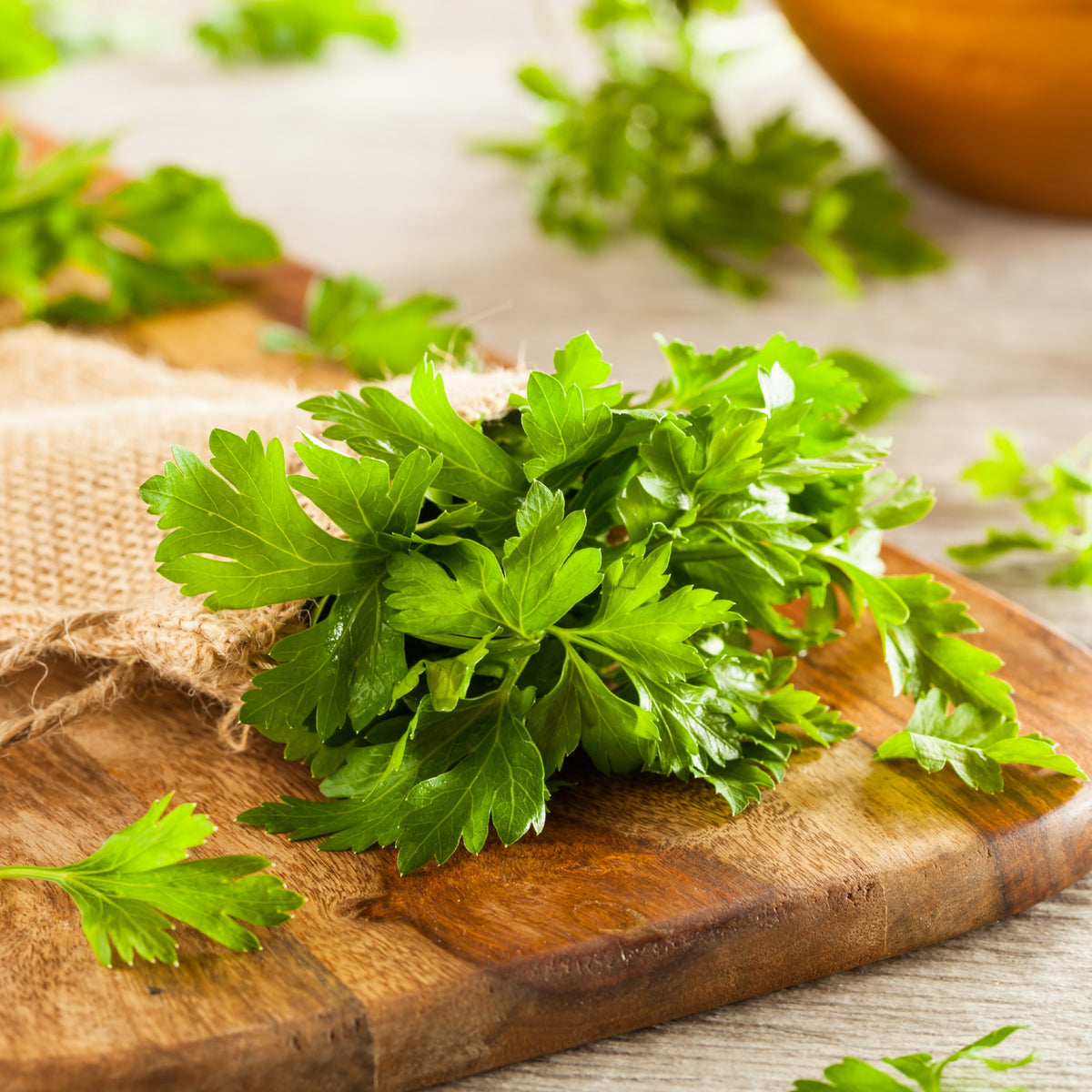 Parsley Six Pack – Cape Garden Online