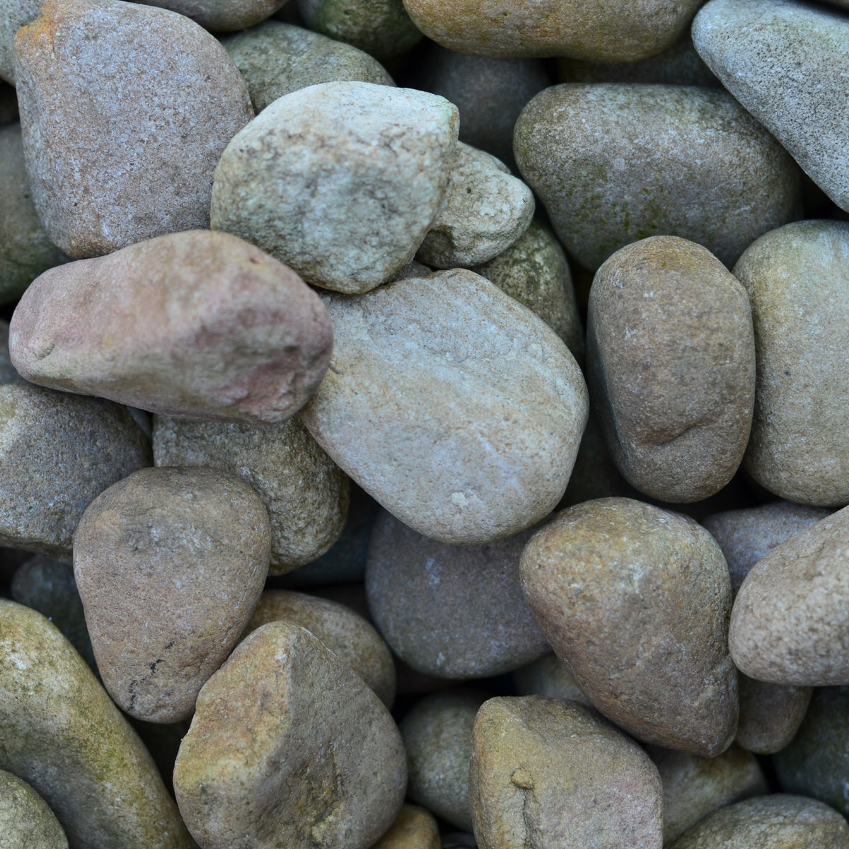Riverstone Brown Stones / Rocks for sale in Cape Town – Cape Garden Online
