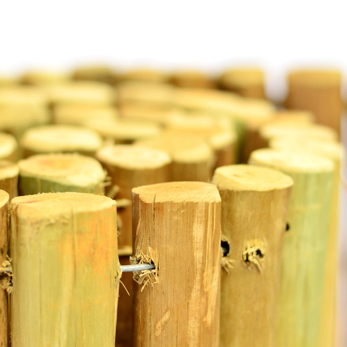 Wood Edging for Gardens | Natural Border Solution – Cape Garden Online